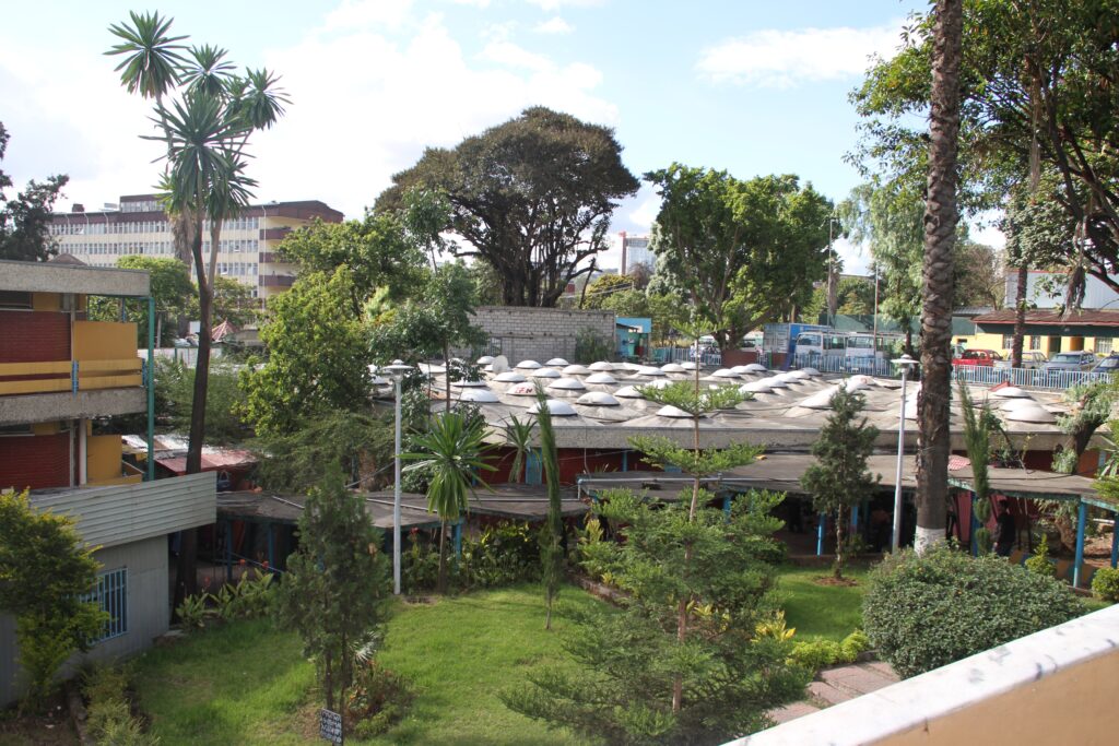 Gallery1 – Filwuha